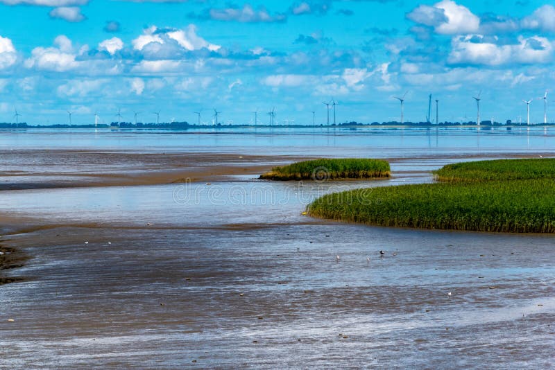 Low Angle Shot of a Muddy River on a Cloudy Day Stock Photo - Image of ...