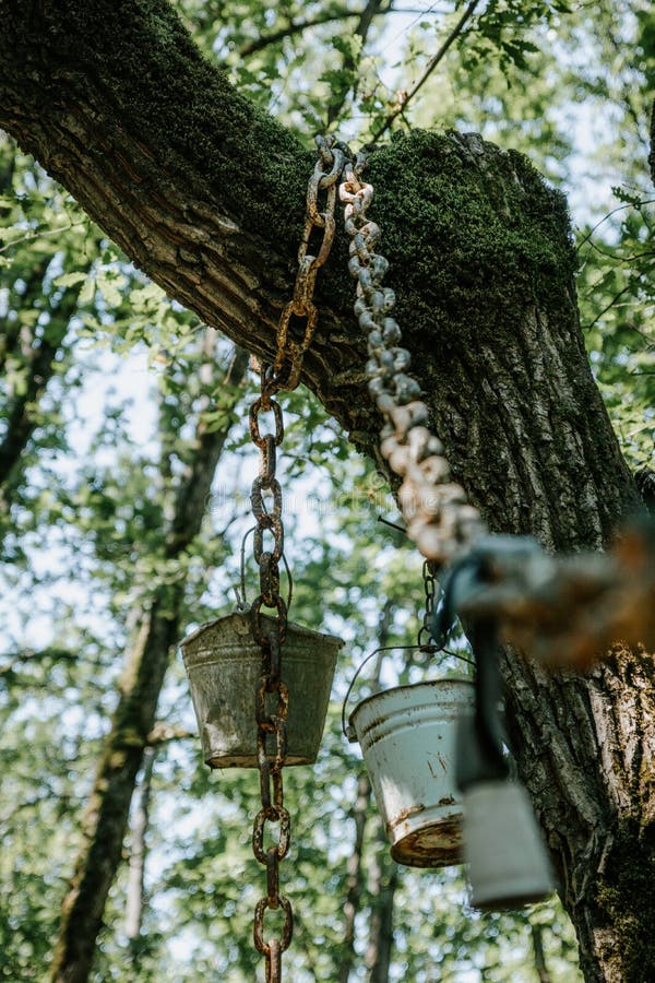 Low Angle Shot of an Old and Rustic Bucket on a Chain Hanging on a Tree ...