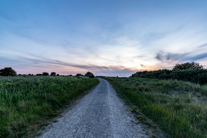 Low Angle Shot of a Path Grassland Stock Photo - Image of parkland ...