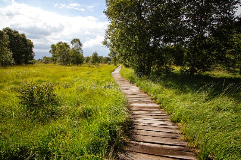 Low Angle Shot Path Grassland Trees Sunny Cloudy Day Stock Photos ...