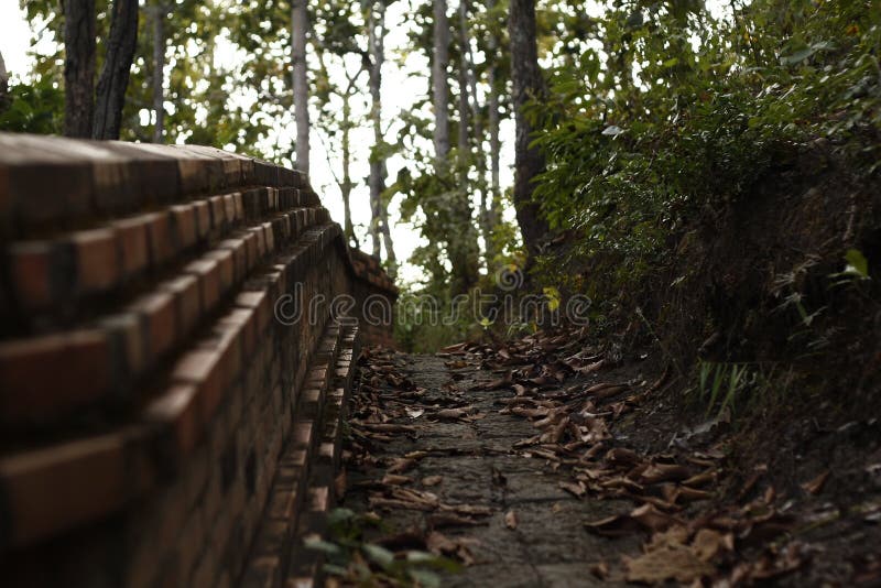Low Angle Shot of a Path Leading into the Distance Stock Image - Image ...
