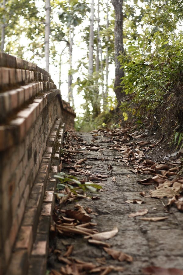 Low Angle Shot of a Path Leading into the Distance Stock Image - Image ...