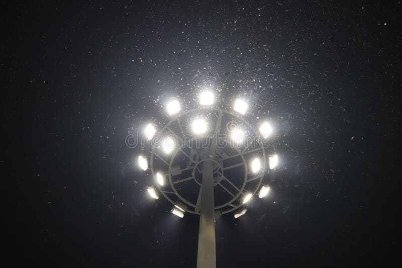 Low Angle Shot of a Pole of Lights Under Snow Stock Photo - Image of ...