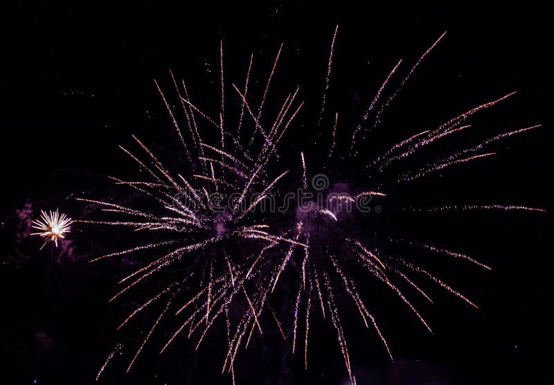 Low Angle Shot of Purple Fireworks in the Black Sky Stock Image - Image ...