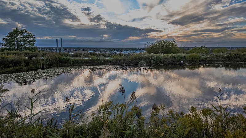 Reflective pond stock photo. Image of blue, fish, northern - 46697124