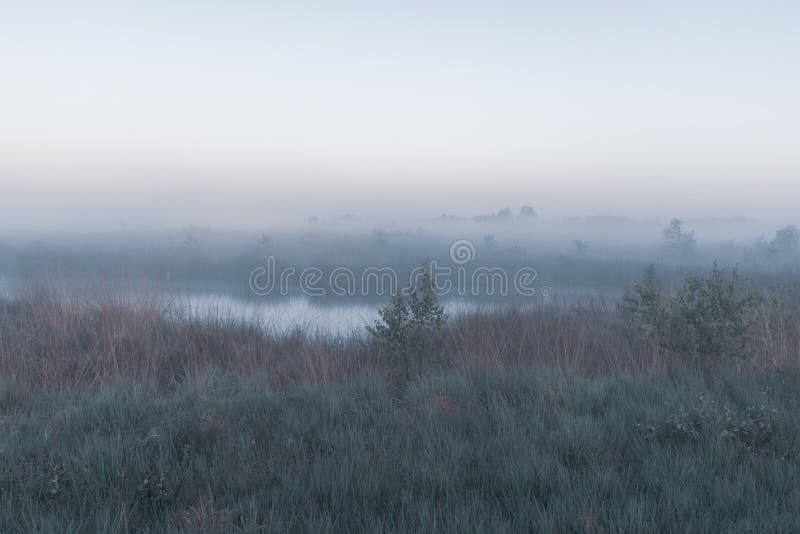 Low Angle Shot of a River and Grassland Stock Photo - Image of grass ...