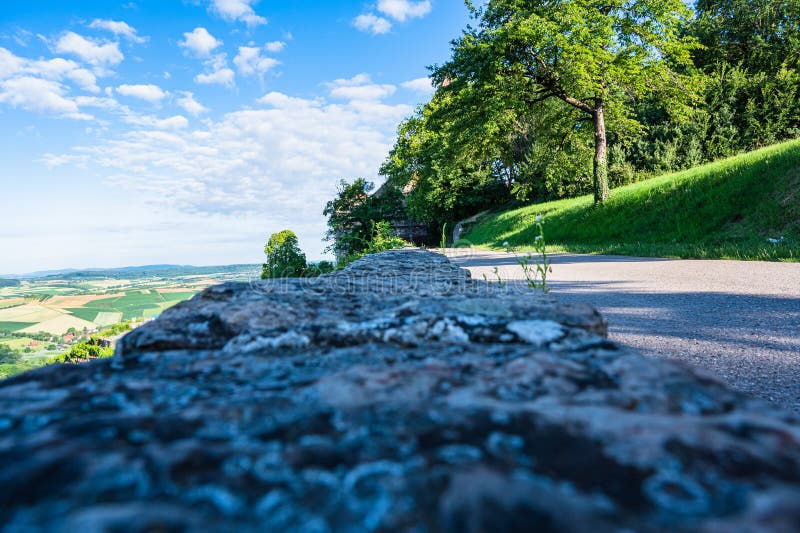 Low Angle Shot of a Road Surrounded by Green Trees Stock Image - Image ...