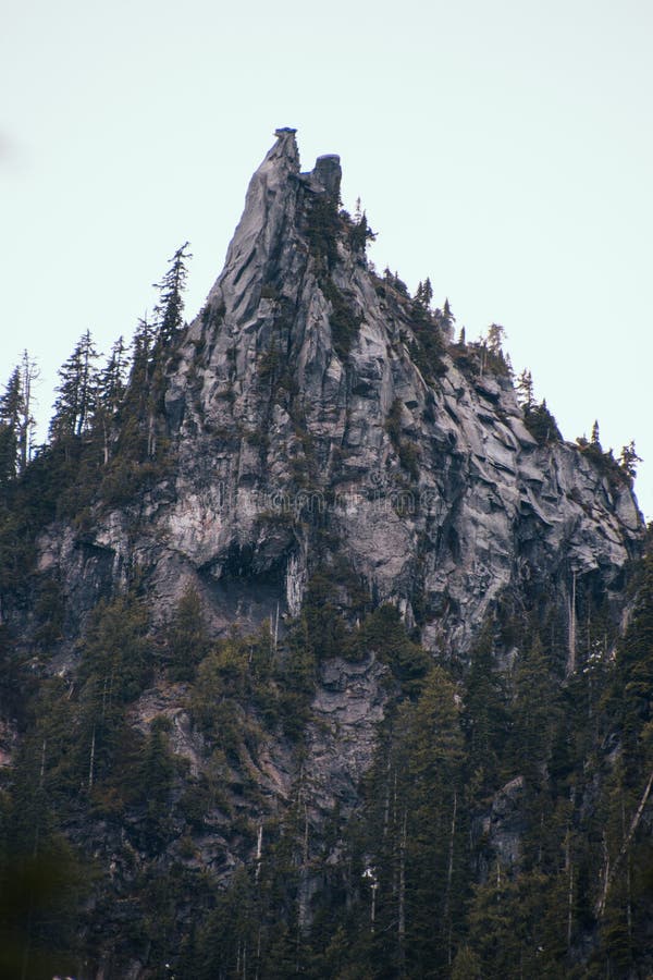 Low Angle Shot of a Rocky Cliff Landscape with Trees Stock Image ...