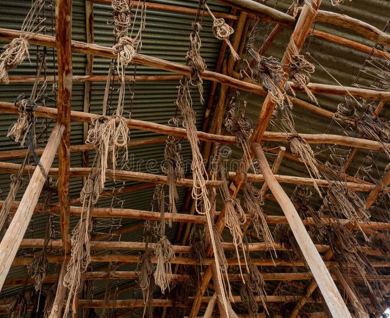 Low Angle Shot of Ropes Tangled on Wooden Columns Stock Image - Image ...