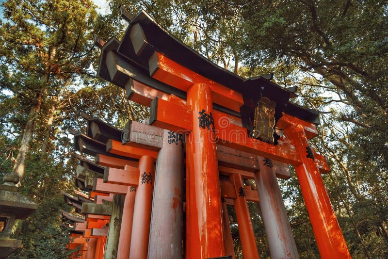 Low-angle Shot of Senbon Torii in Japan Stock Image - Image of ...