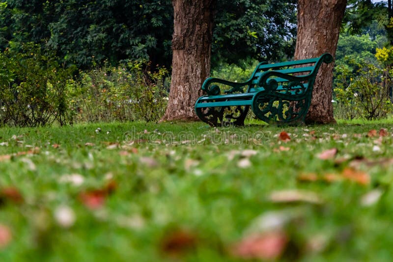 Low Angle Shot of Sitting Bench Placed Under Two Trees in the Park ...