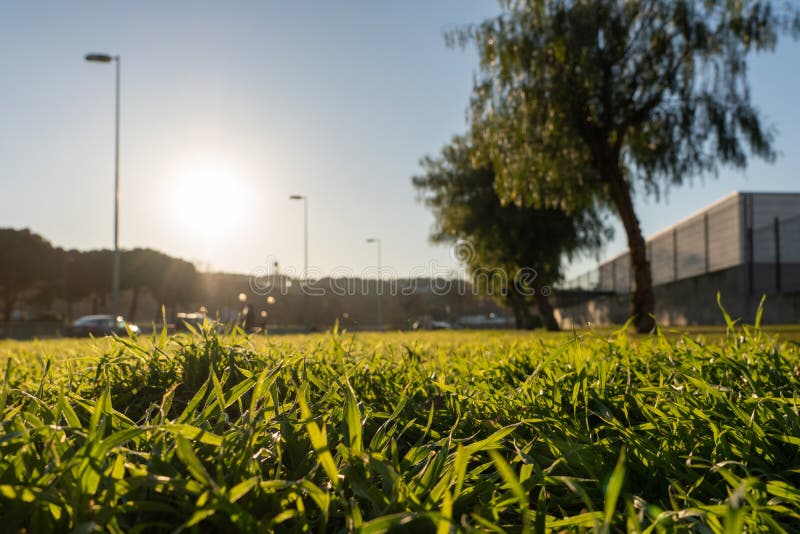 Low Angle Shot on Street from Grass Stock Photo - Image of shot, life ...