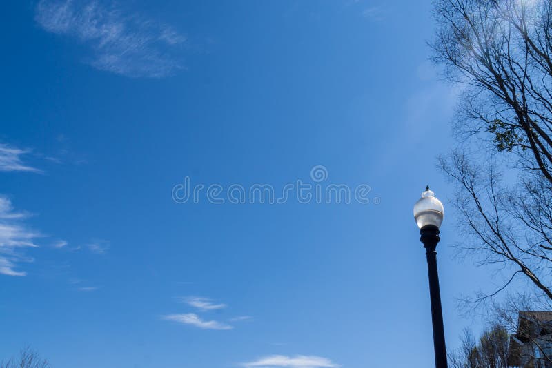 Low Angle Shot of a Street Lamp and Bare Tree Branches with the Blue ...