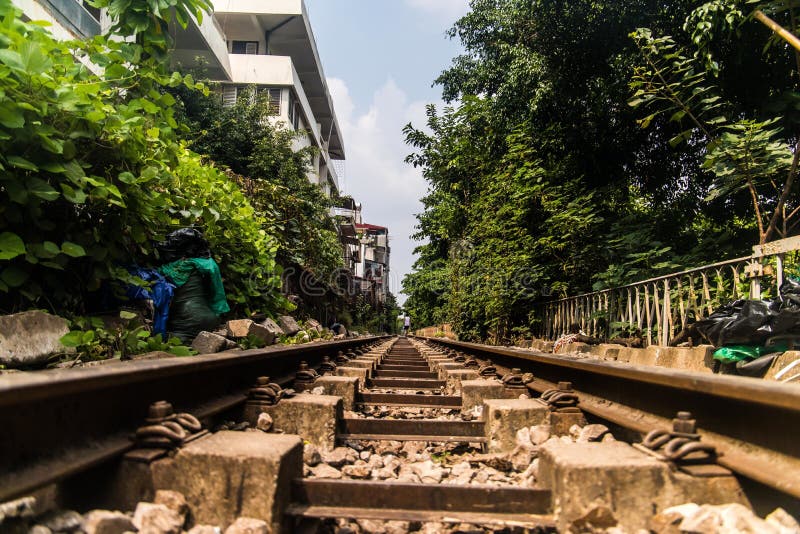 Low Angle Shot of Train Rails between Private Houses and a Forest Stock ...