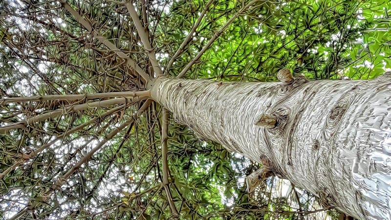 Low Angle Shot of a Tree Trunk with Branches and Green Leaves Stock ...