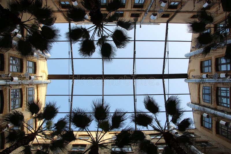 Low Angle Shot of Trees Near Buildings Under a Roof Stock Photo - Image ...