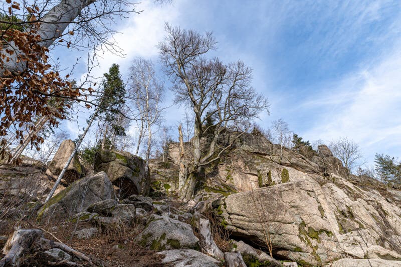 Low Angle Shot of Trees and Rock Formations on a Mountain Hillside ...