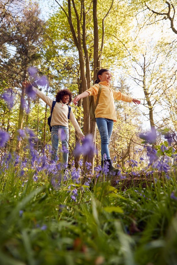 Low Angle Shot of Two Children Walking through Bluebell Woods in ...