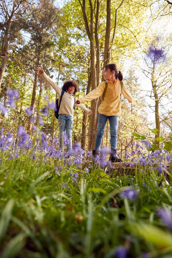Low Angle Shot of Two Children Walking through Bluebell Woods in ...