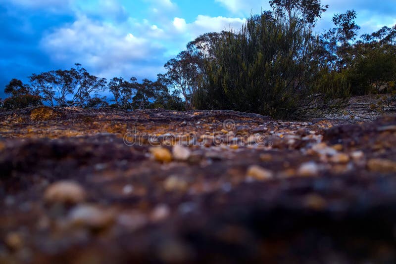 Low-angle Shot of the Vibrant Quarry in Australian Bushland Stock Photo ...