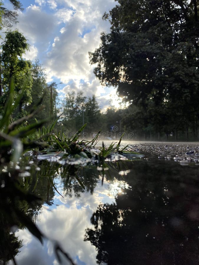 Low Angle Shot of a Wet Road after Rain with Clouds Reflecting in the ...