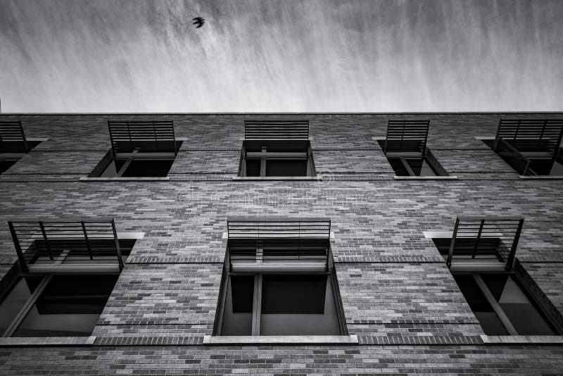 Low Angle Shot of Windows on a Brick Building of Colorado College in ...