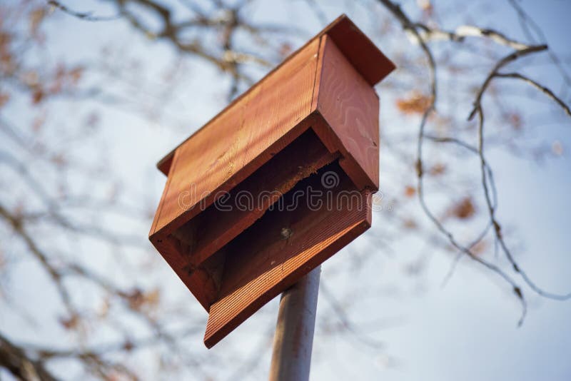 Low Angle Shot of a Wooden Bat Box Under Tree Branches Stock Photo ...
