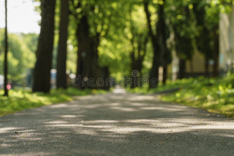 Low Angle of Sidewalk in City in Sunny Day Stock Photo - Image of ...
