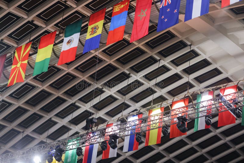 Low Angle of the Stadium Ceiling with Various Flags Stock Photo - Image ...