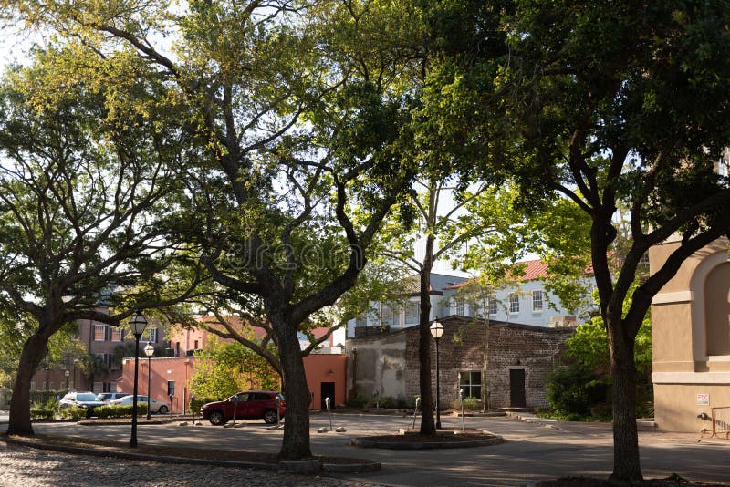Low-angle of Street View with Buildings and Trees Cobblestone Sunlight ...