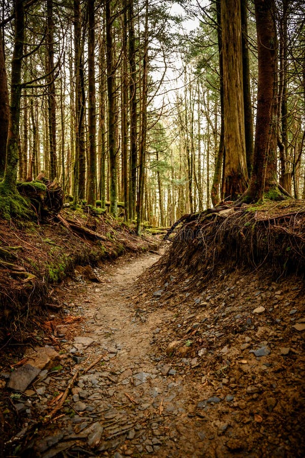 Low Angle of Sunken Trail stock image. Image of path - 172025623