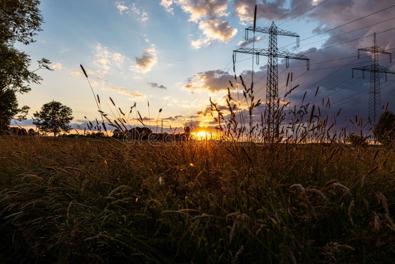 Low-angle of Sunset Over the Field with Grass Silhouettes and Power ...