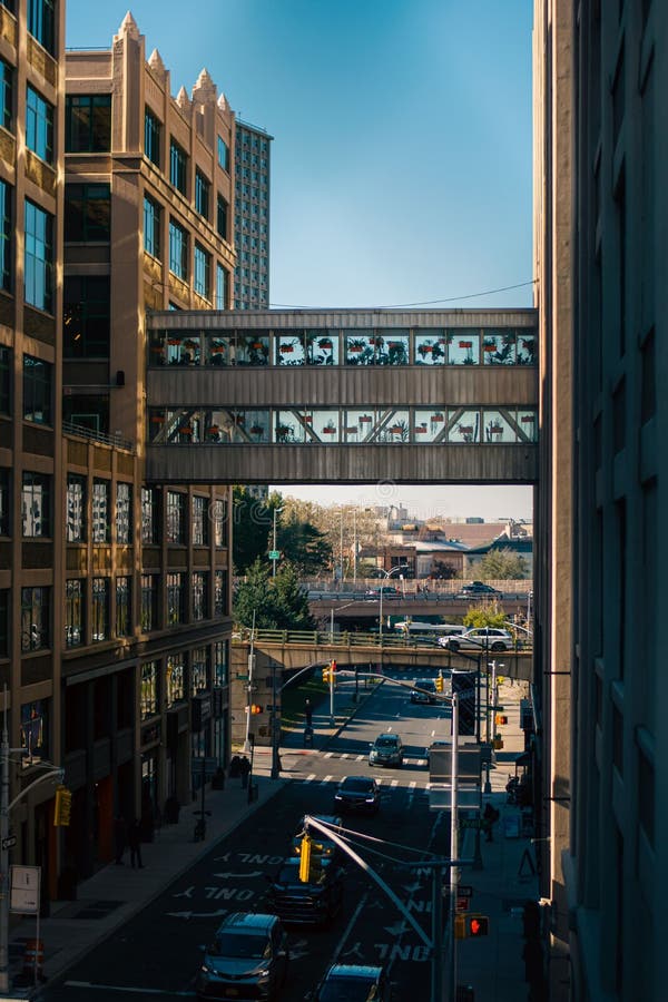 Low-angle of Tate Modern Building Containing Plants Sunlit Clear Sky ...