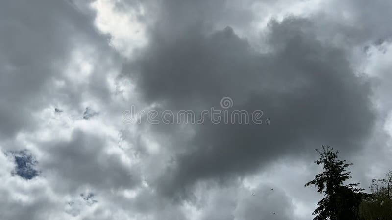 Low Angle Timelapse Shot of Clouds Moving in a Sky Stock Footage ...