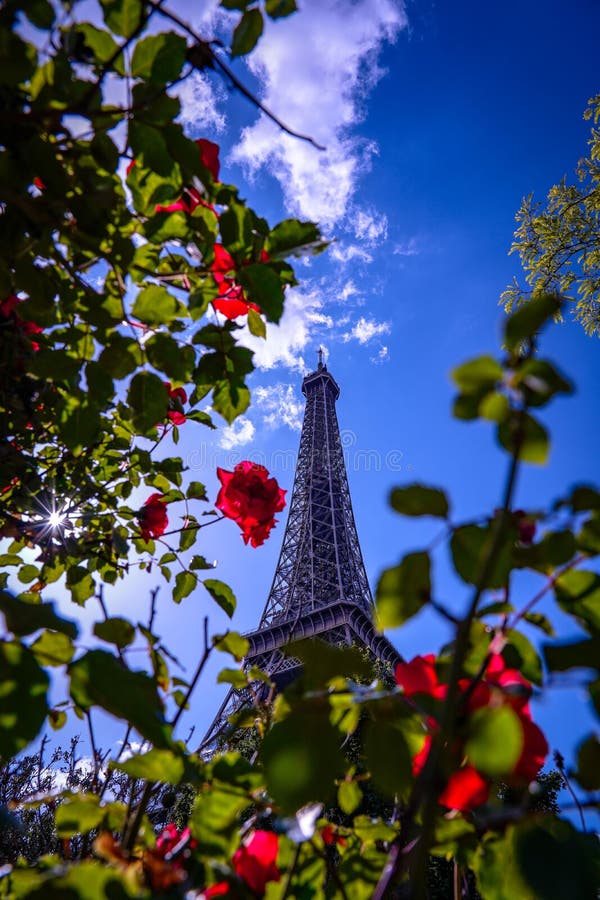 Low-angle Vertical Shot of the Eiffel Tower in France, Visible from Red ...
