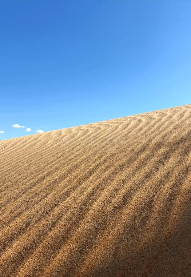 Low Angle Vertical Shot of a Sand Dune in a Desert Under the Blue Sky ...