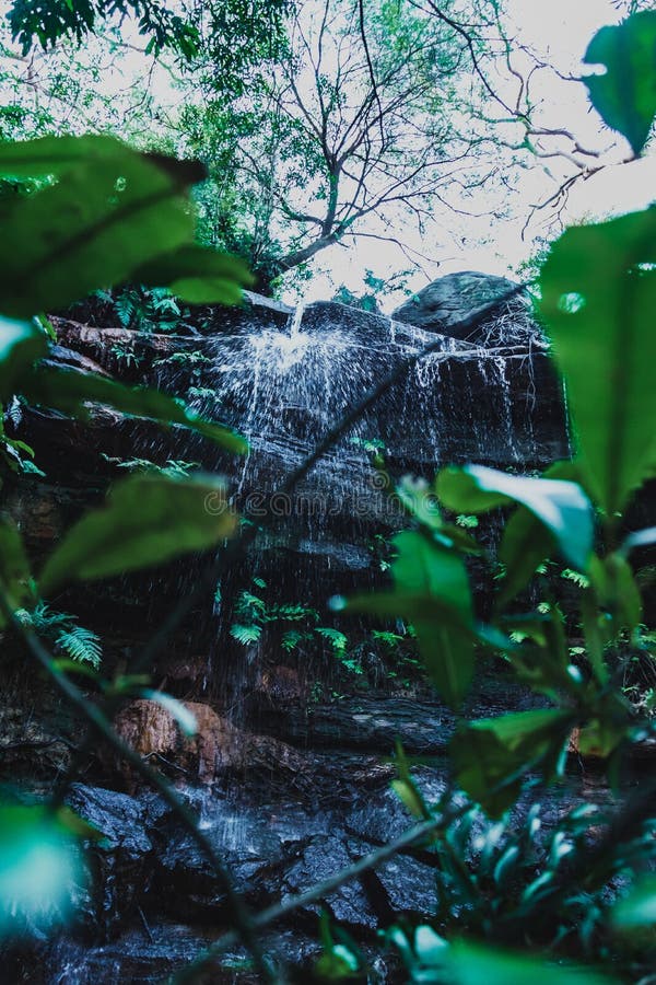 Low-angle Vertical Shot of a Water Stream Falling Along a Rock ...