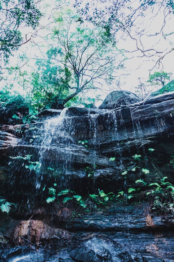 Low-angle Vertical Shot of a Water Stream Falling Along a Rock ...