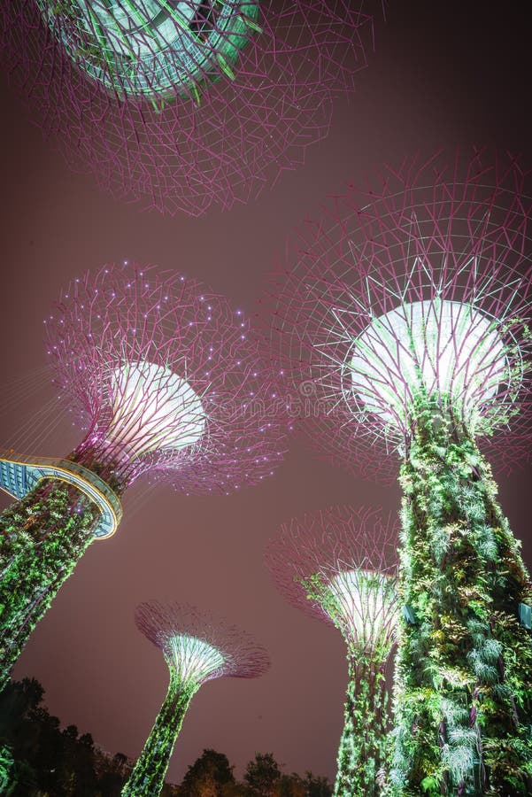 Low Angle View of Artificial Super Tree Illuminated at Night in ...