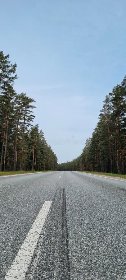 Low Angle View of Asphalt Highway with Road Markings and Green Forest ...