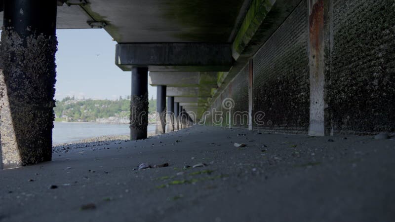 Low Angle View Under Pier with Algae-covered Columns at Low Tide. Stock ...
