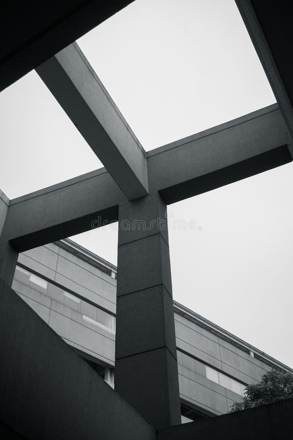 Low Angle View of Column of Building in Black and White Stock Image ...