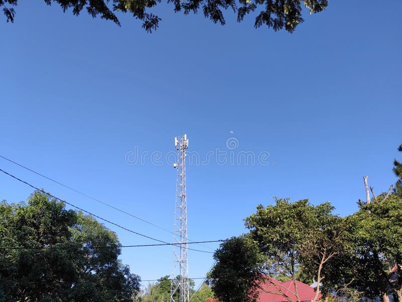Low Angle View of Communications Tower and Trees Stock Image - Image of ...