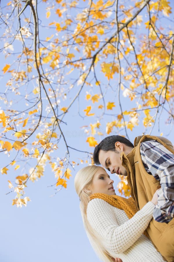 Low Angle View of Couple Hugging Against Autumn Tree Stock Photo ...