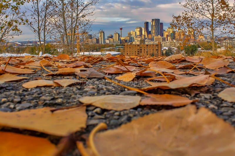 Low Angle View of Downtown Buildings Stock Image - Image of season ...