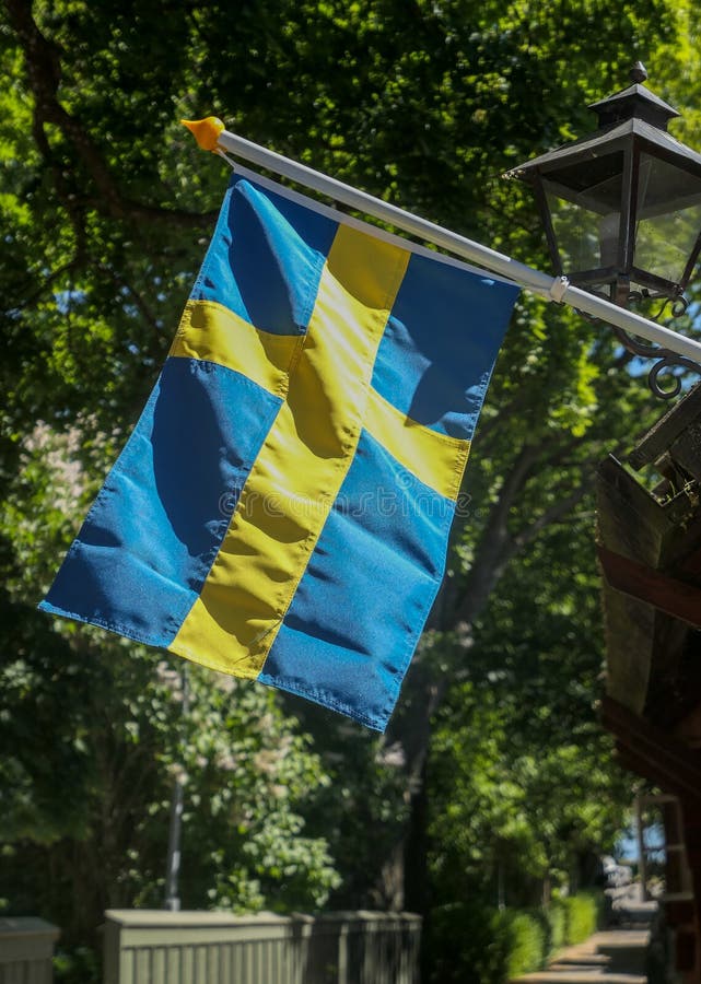 Low Angle View of a Flag Against Trees Stock Photo - Image of person ...
