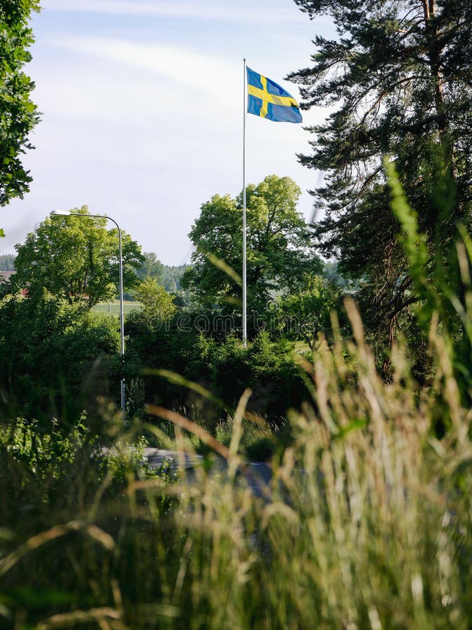 Low Angle View of Flag Against Trees Stock Photo - Image of plant, tree ...
