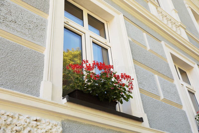 Sidewalk Windowsill Stock Photos - Free & Royalty-Free Stock Photos ...