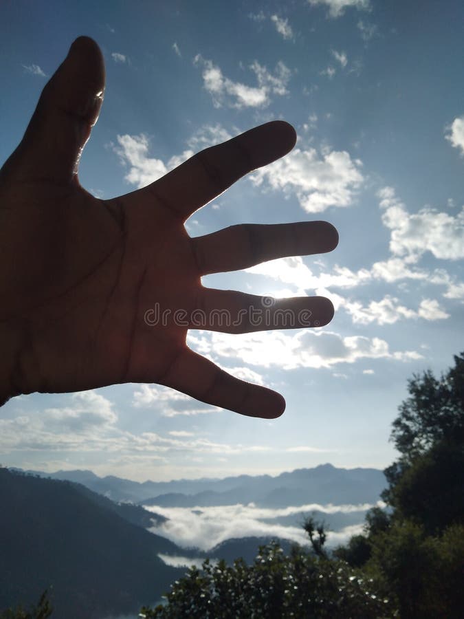 Low Angle View of Hand Rising and Sun during Sunset Stock Image - Image ...