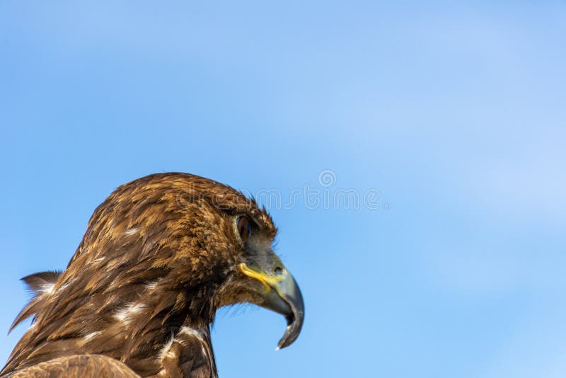 Upper Big Hawk Lake Reflection Stock Image - Image of colorful, ripples ...